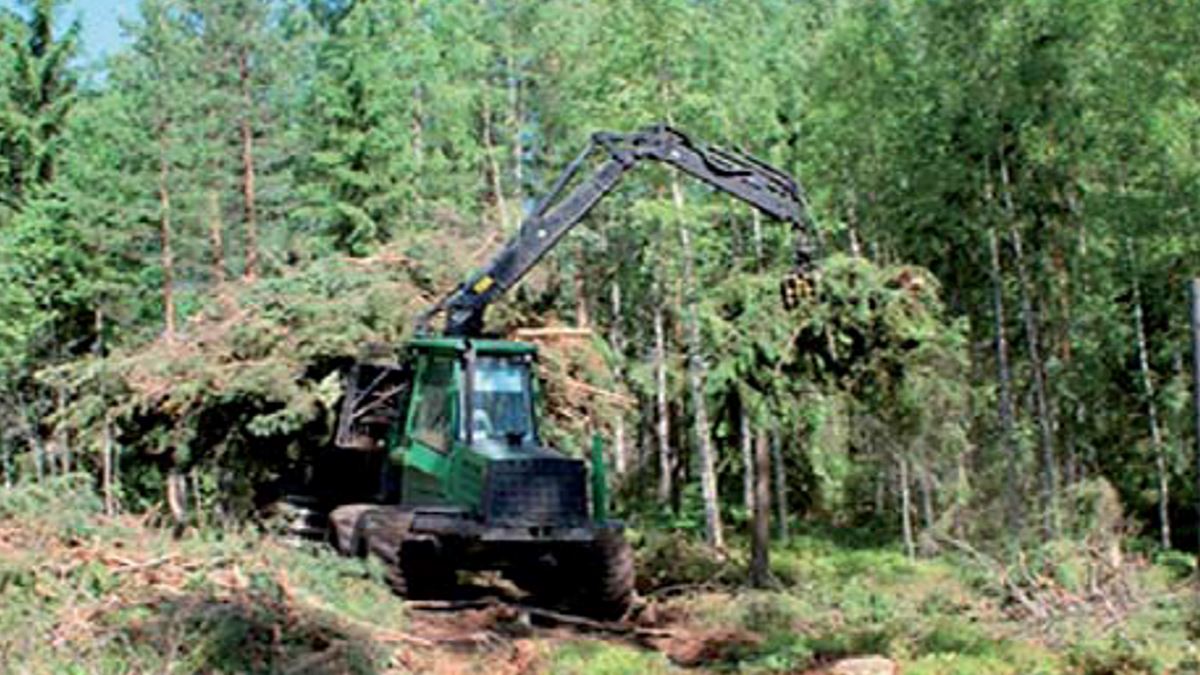 Skotning av färsk och hyggestorkad grot - Skogforsk