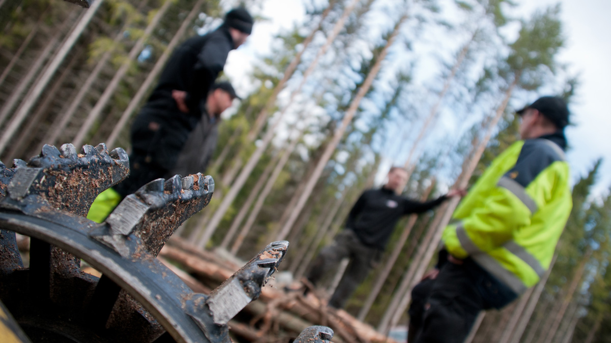 Tips för snabbare drivningsarbete - Skogforsk
