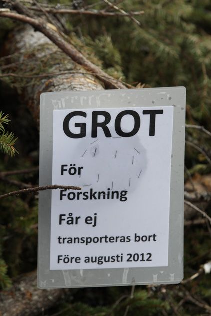 Lumber leftovers are called GROT in Sweden (abbreviation: "Twigs, Roots ...