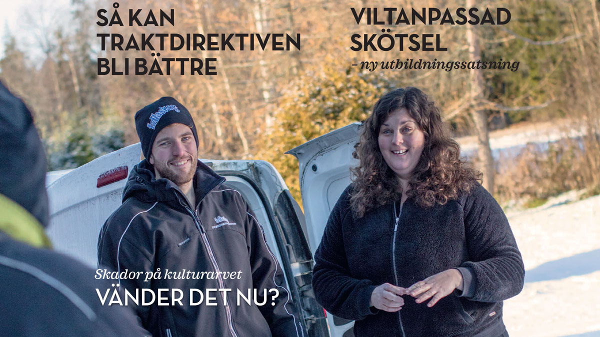 Vision 4-2017 - Skogforsk