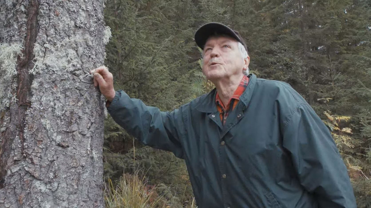 Aspen – filmen - Skogforsk
