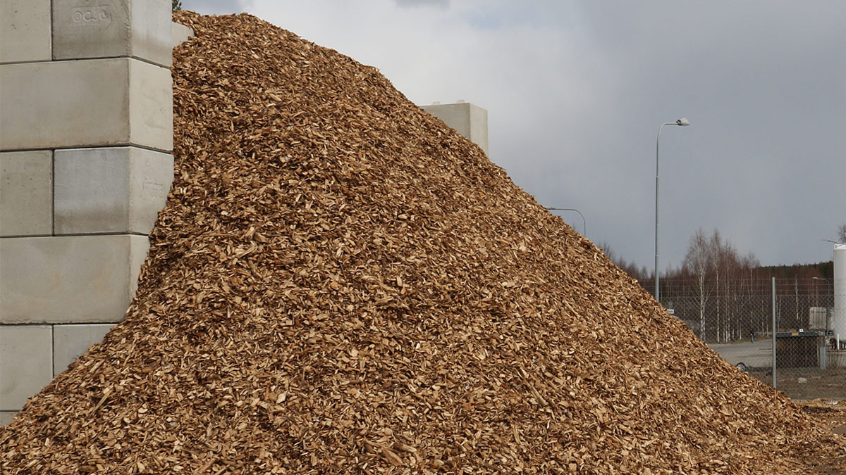 Från problem till lösningar för storskalig lagring av flis - Skogforsk