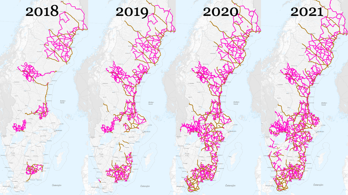 Utvecklingen av BK4-vägnätet och virkesfordon konfigurerade för BK4 ...