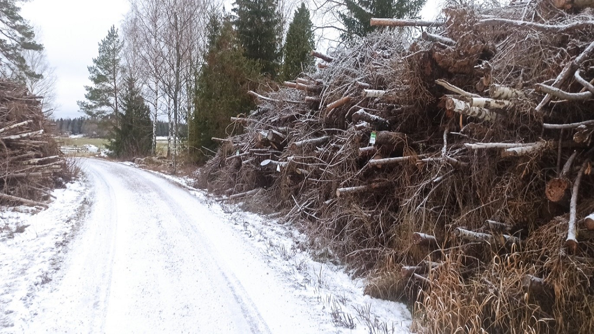 Hur mycket grot lämnas kvar i skogen? - Skogforsk