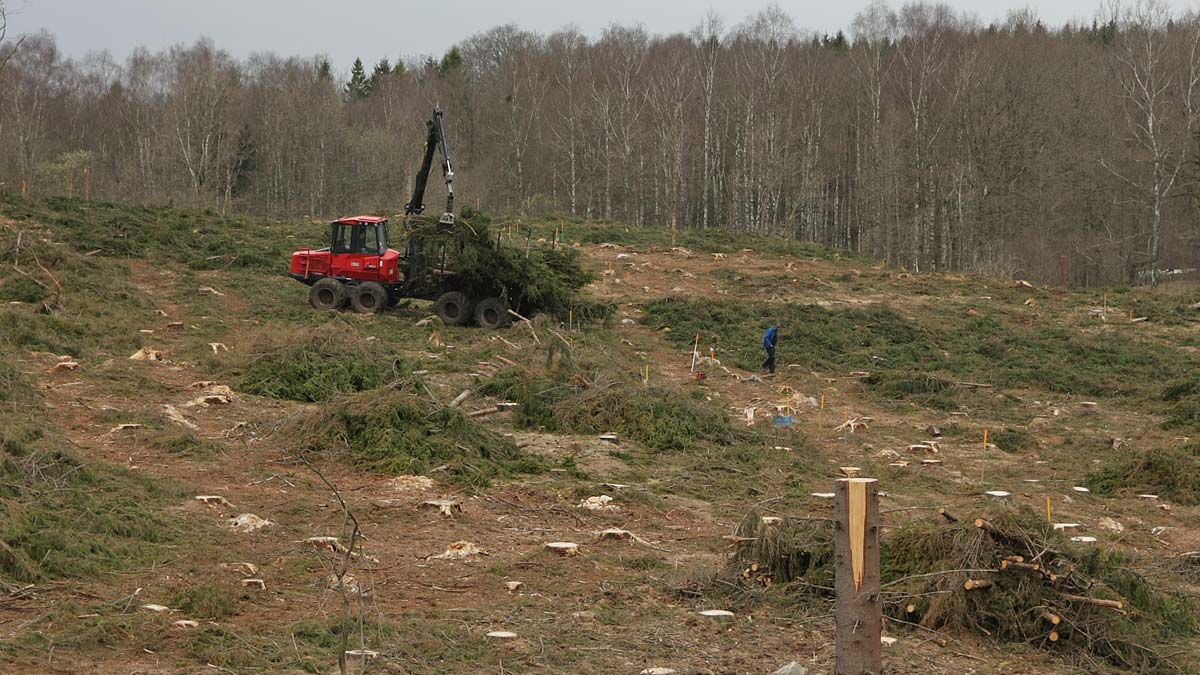 Faktablad om grot och dess potential - Skogforsk