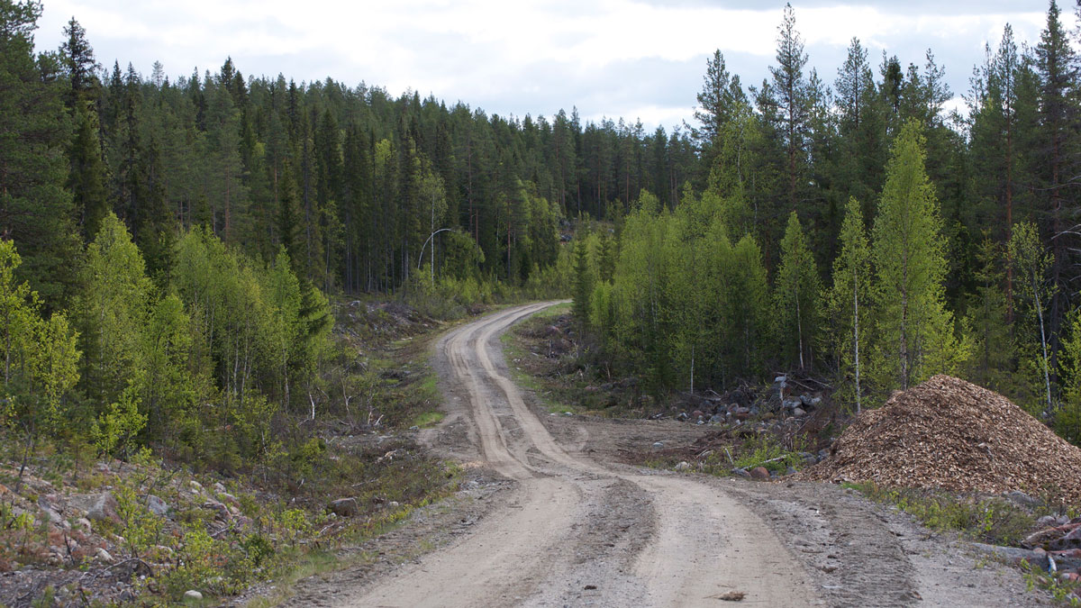 Literature review highlights multiple aspects of forest roads in Sweden ...